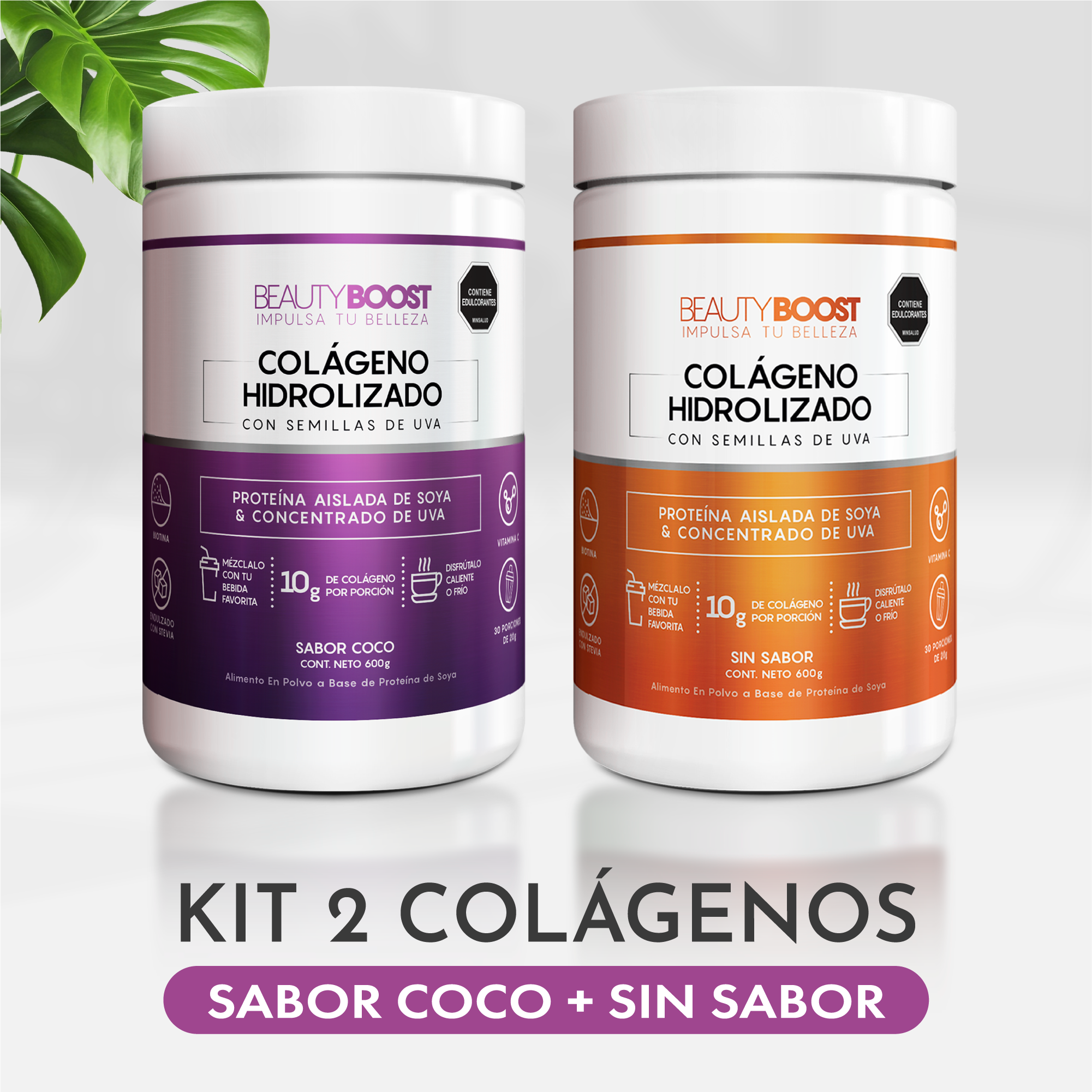 COLÁGENO HIDROLIZADO CON RESVERATROL Y BIOTINA - COCO – Beauty Boost